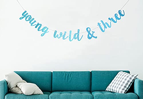 Young Wild and Three Banner -Blue Glitter Happy 3rd Birthday Party Decoration Bunting Photo Props,Children's Birthday Party Supplies