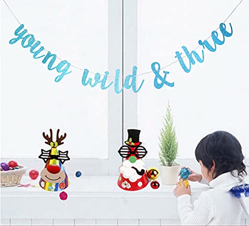 Young Wild and Three Banner -Blue Glitter Happy 3rd Birthday Party Decoration Bunting Photo Props,Children's Birthday Party Supplies