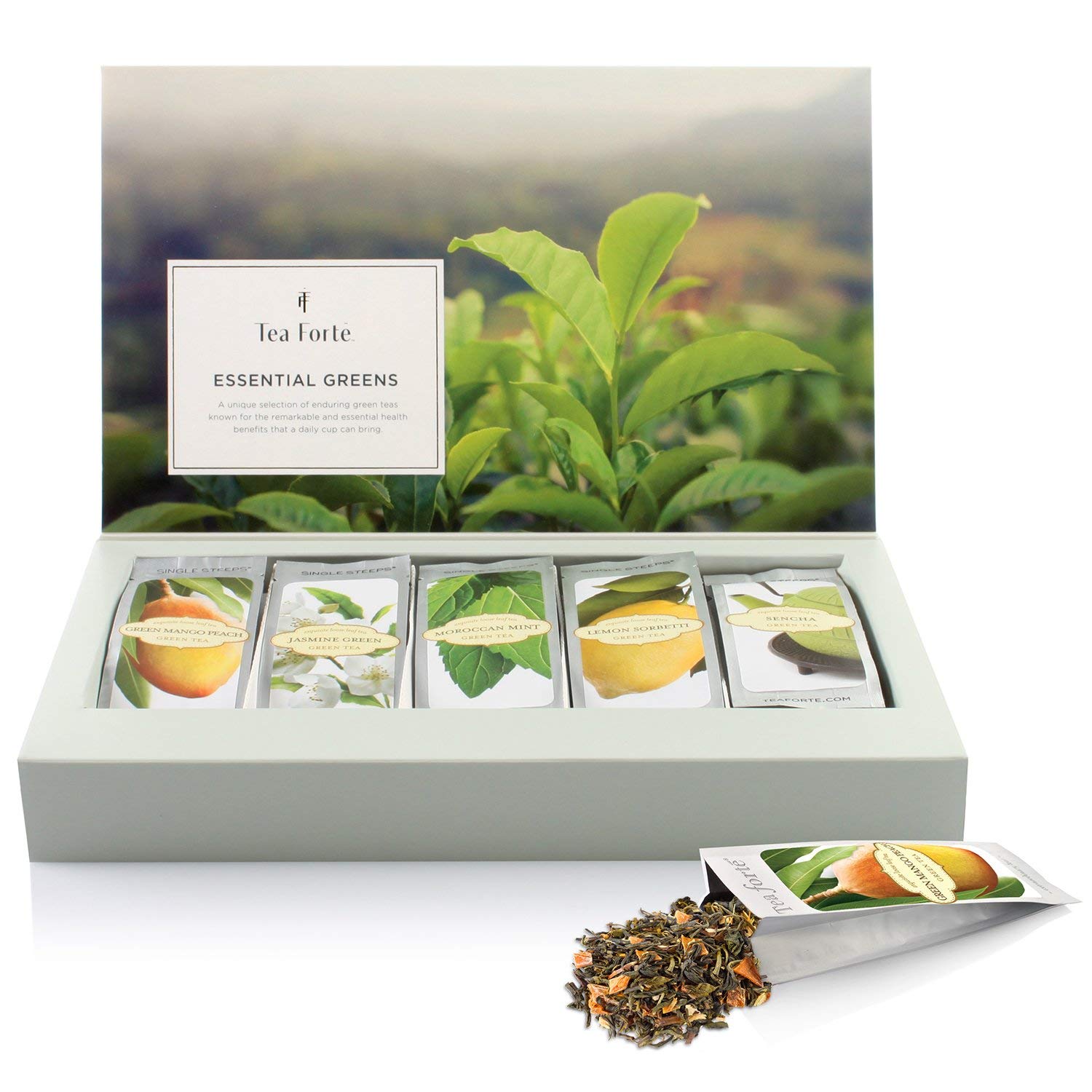 Tea Forte Single Steeps Loose Leaf Green Tea Sampler, Assorted Variety Tea Box, Single Serve Pouches, 15 Count (Pack of 1)
