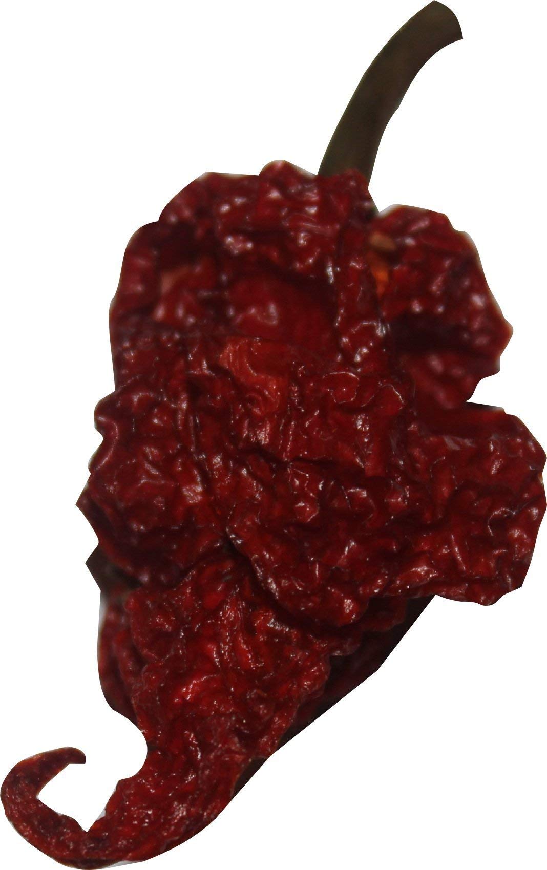 Wicked Reaper Wicked Tickle Carolina Reaper Chili Peppers World's Hottest Dried Spice 10 Pack +2 Free