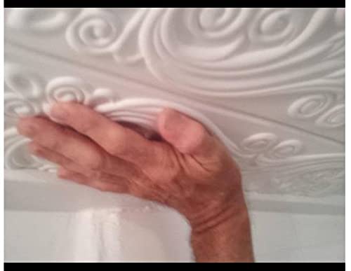 White Styrofoam Decorative Ceiling Tile Astana (Package of 8 Tiles) - Other Sellers Call This Spanish Silver and R139