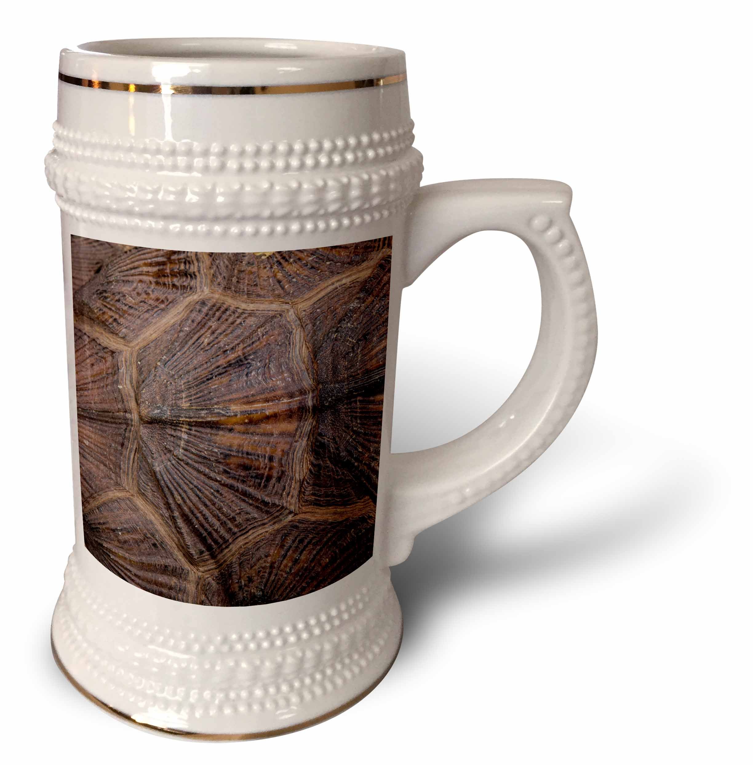 3dRose Wood Turtle carapace detail, USA - Stein Mug, 18oz , 22oz, White
