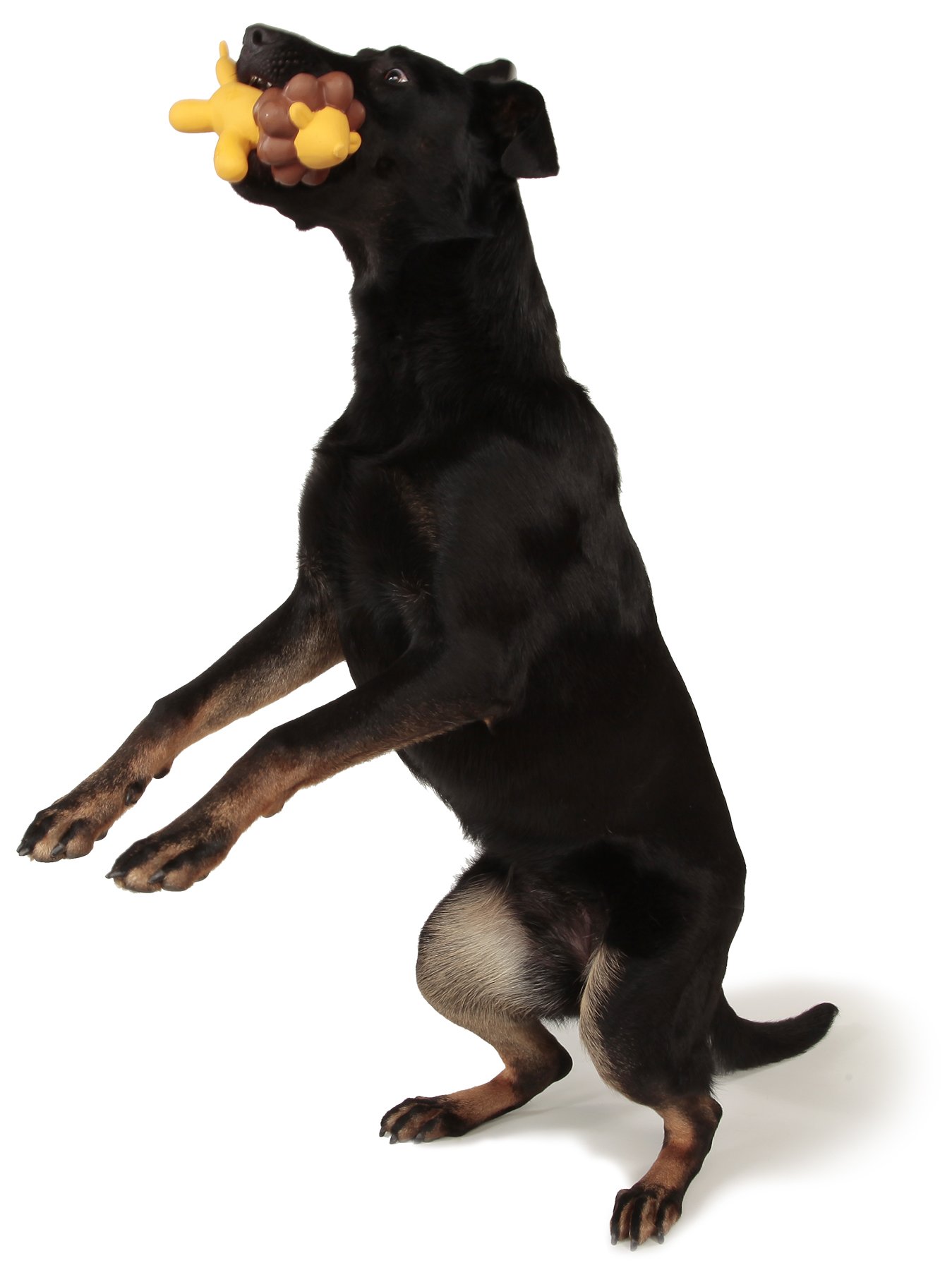 Charming Pet Latex Dog Toy Balloon, Elephant, Large
