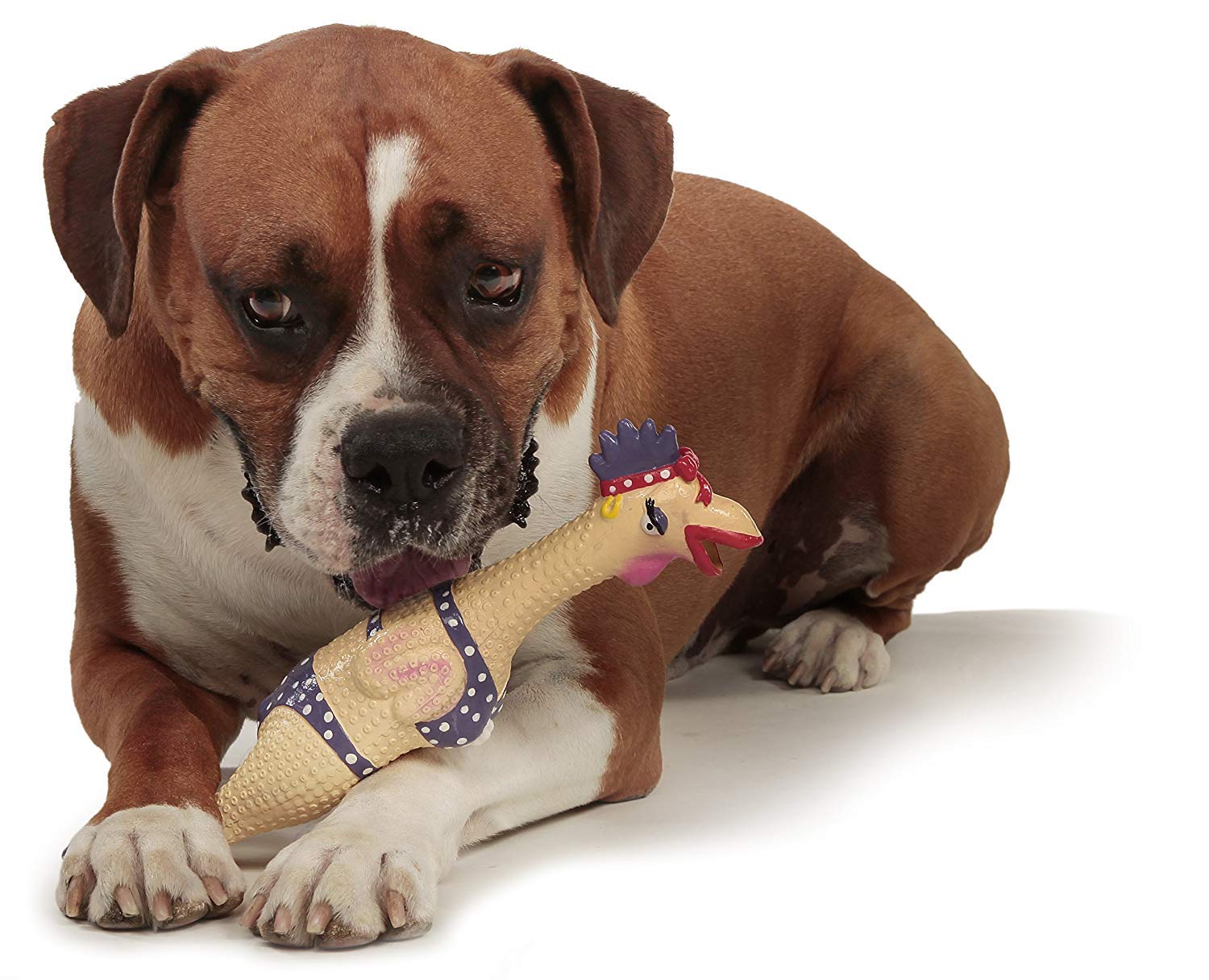 Outward Hound by Charming Pet Squawkers Grandma Hippie Chick Latex Rubber Chicken Interactive Dog Toy, Large