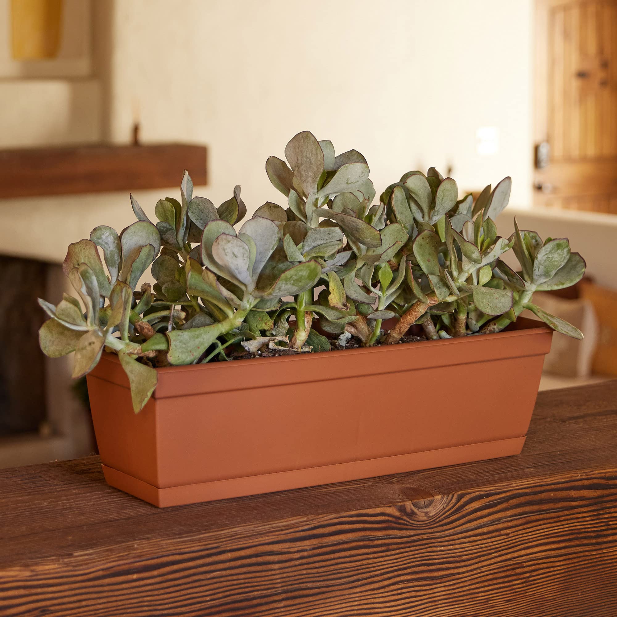 Bloem Dura Cotta Window Box Planter: 30" - Terra Cotta - Large Box with Tray, Weatherproof Resin Box, Removable Tray for Indoor & Outdoor Use, Gardening, 4 Gallon Capacity