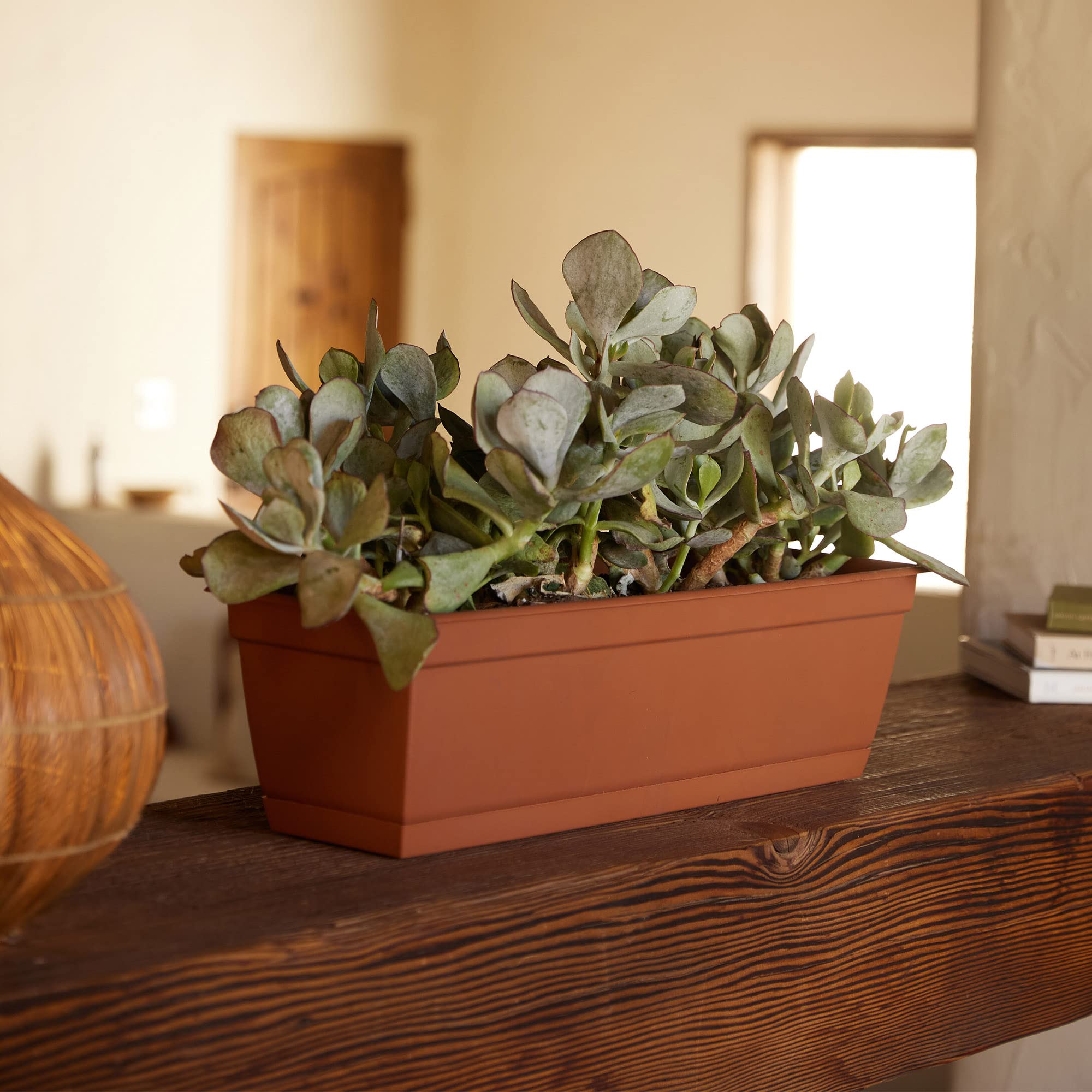Bloem Dura Cotta Window Box Planter: 30" - Terra Cotta - Large Box with Tray, Weatherproof Resin Box, Removable Tray for Indoor & Outdoor Use, Gardening, 4 Gallon Capacity
