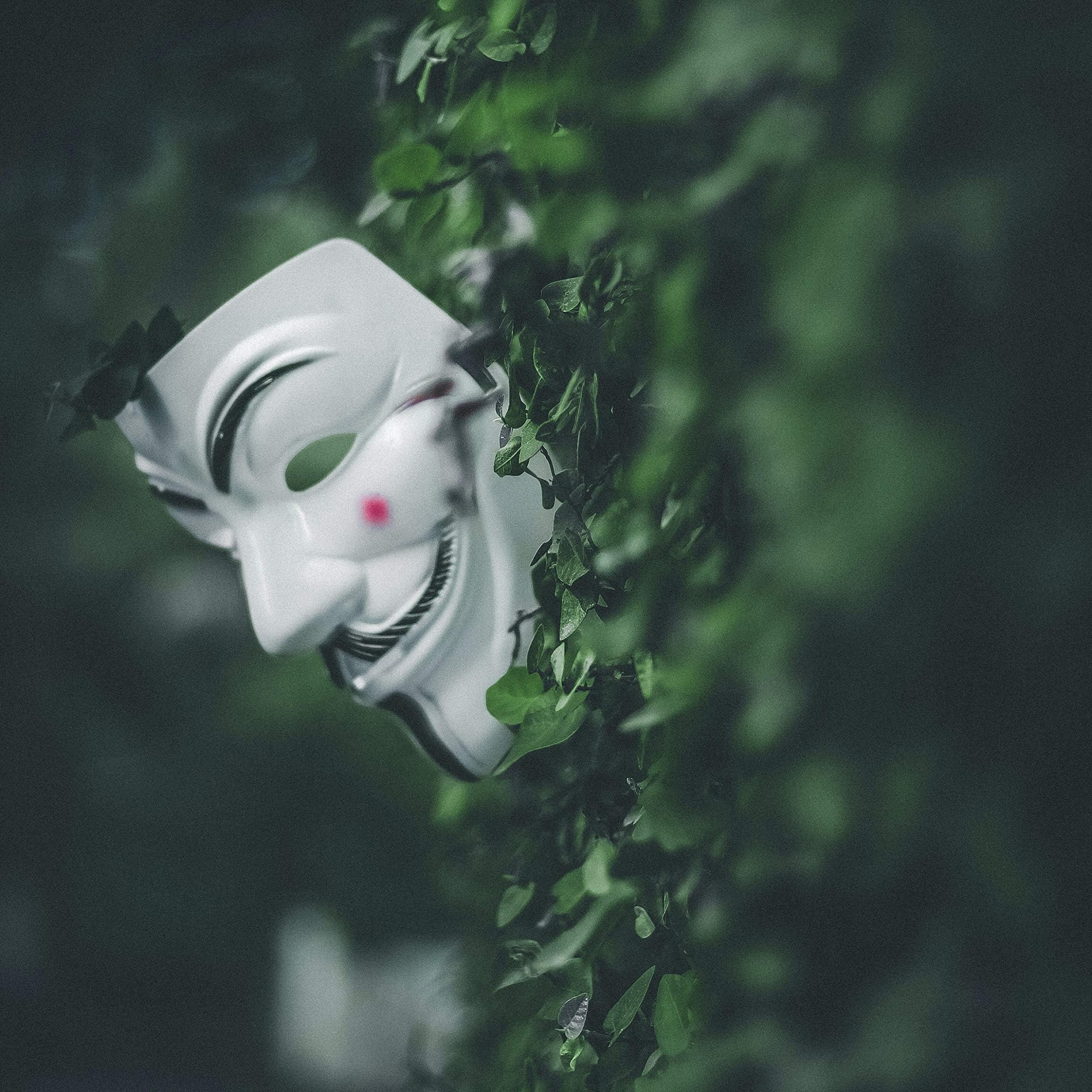 Diximus V for Vendetta Mask Anonymous Guy Fawkes Halloween Mask Hacker Mask (V Mask)