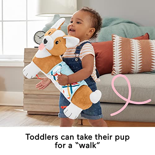 Fisher-Price Baby Tummy Time Toys, 3-in-1 Plush Puppy Wedge with BPA-Free Teether Rattle and Mirror Toys