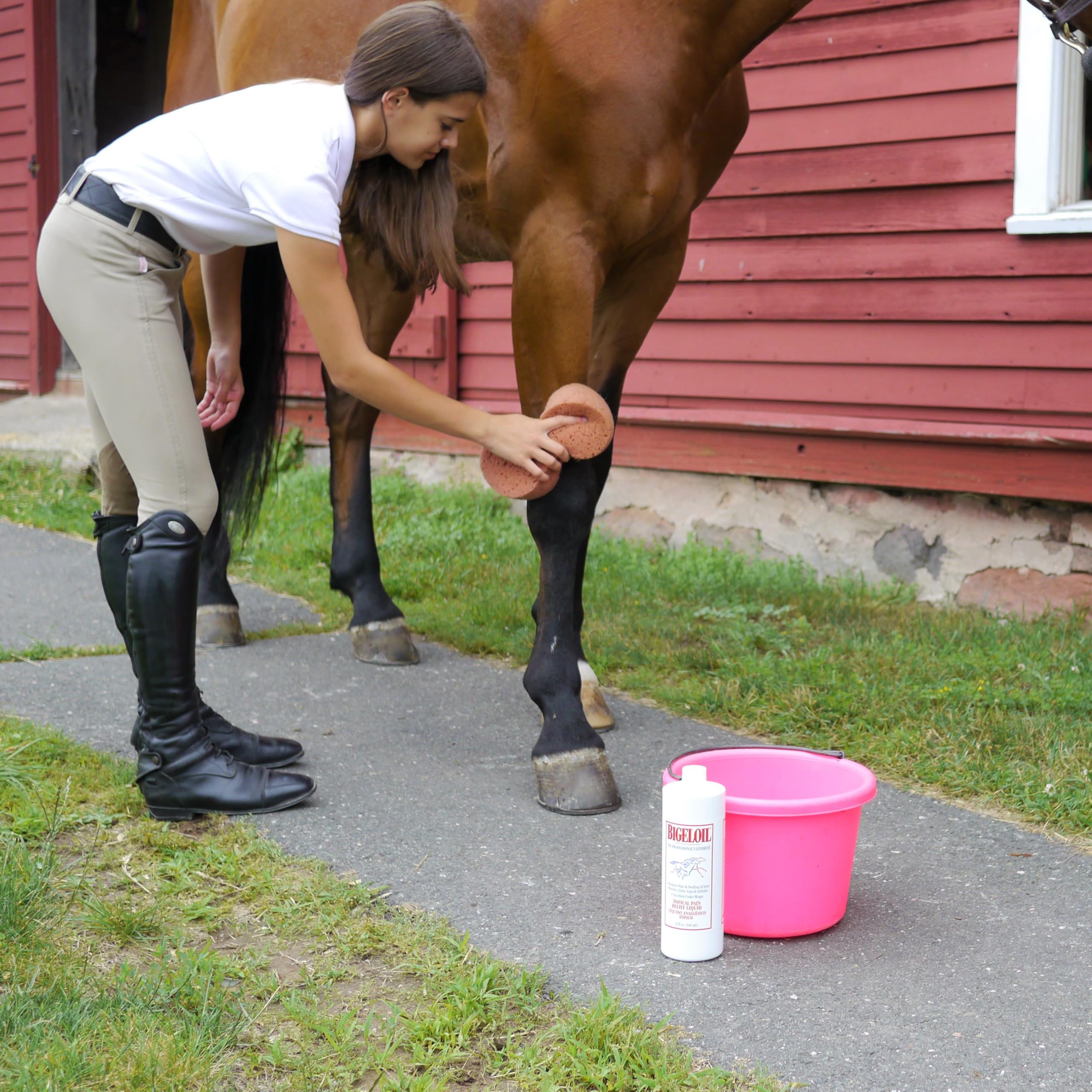Absorbine Bigeloil Liniment, 32oz, Topical Pain Relief Liquid