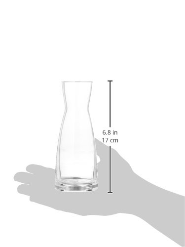 Bormioli Rocco Ypsilon Carafe, Set of 12 , 9.5 Oz.