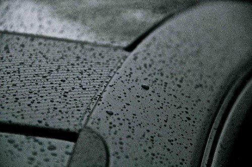 VViViD Black True R Carbon Fiber Vinyl Wrap Roll with Air Release Technology (1 Foot by 5 Foot)