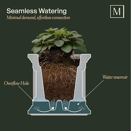 Mayne Fairfield 5-Foot Window Box – Self-Watering, Weather-Resistant Planter for Flowers – Durable Design for Outdoor Use, Perfect for Windows, Railings, or Fences