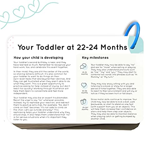 Curious Toddler⢠Activity Cards | 40+ Activities for Toddler & Me (12-24 Months) | Developmentally-Focused and Stimulating Creative Playtime Ideas | Bonus: Two Recipes for Dough & Dyed Pasta