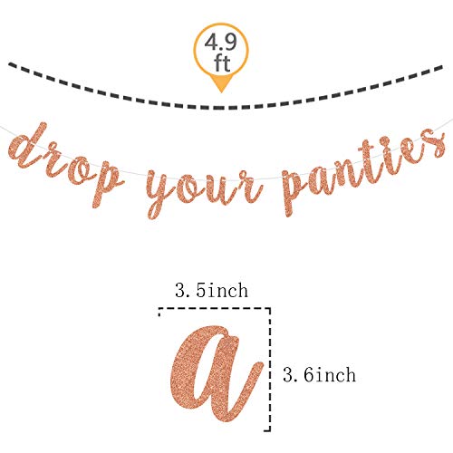 Drop Your Panties Banner - Bachelorette Banner - Lingerie Shower Banner, Wedding/Bachelorette/Birthday Party Decorations Rose Gold Glitter.
