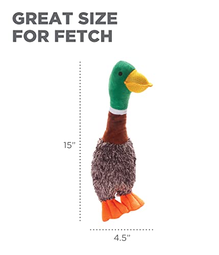 Charming Pet Headbangerz Duck Plush Squeaky Light-Up Dog Toy