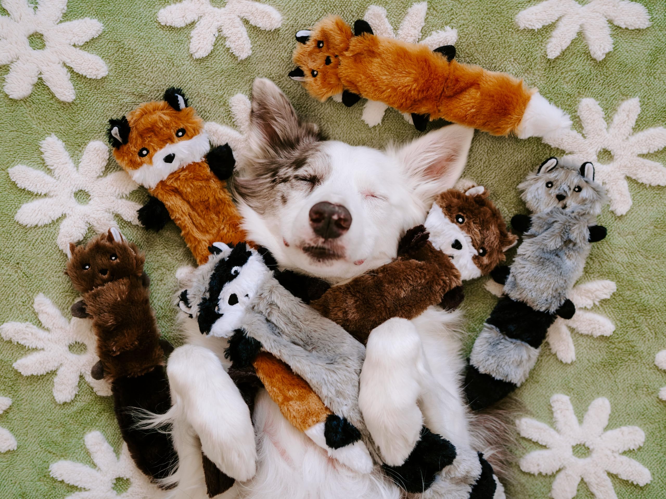 ZippyPaws Skinny Peltz - Fox, Raccoon, & Squirrel - No Stuffing Squeaky Dog Toys, Unstuffed Chew Toy for Small & Medium Breeds, Bulk Multi-Pack of 3 Soft Plush Toys, Flat No Stuffing Puppy Toys - 11"