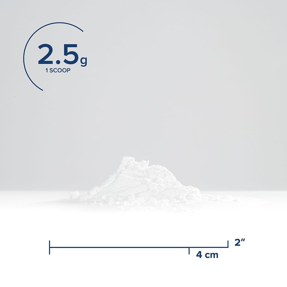 Seeking Health Magnesium Malate Powder, 500 mg Dimagnesium Malate Supplement to Support Sleep and Balanced Mood, High-Absorption Chelated Magnesium, Vegan and Vegetarian (100 Servings)