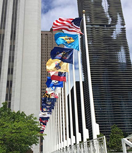Annin Flagmakers Florida State Flag USA-Made to Official State Design Specifications, 3 x 5 Feet (Model 140960)