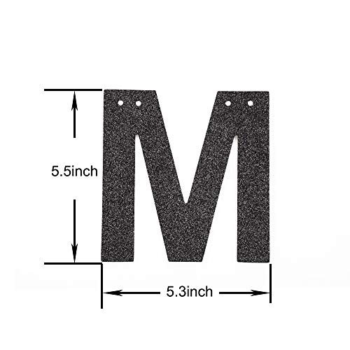I AM 28+1 Banner, 29th Birthday Party Sign Funny/Gag 29th Bday Party Decorations Gliter Paper Backdrops (Black)