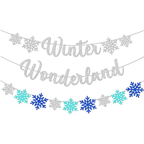3PCS Exquisite Winter Wonderland Banners,Snowflake Christmas Banners Photo Props Banner for Christmas Party Home Decorations