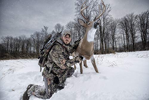 Flambeau Outdoors 5965MS Boss Buck - Masters Series Deer Decoy