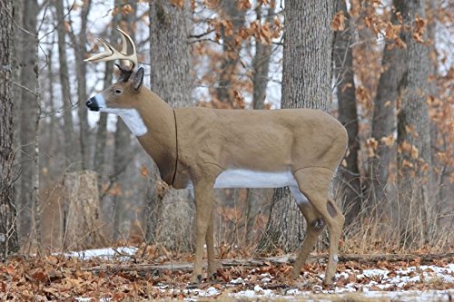 Flambeau Outdoors 5965MS Boss Buck - Masters Series Deer Decoy