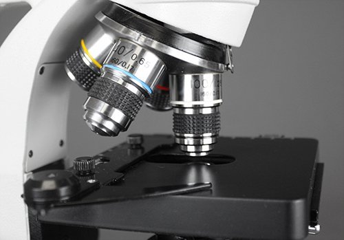 Parco Scientific 3050-100-RC Monocular Compound Microscope, 10x WF Eyepiece, 40x—1000x Magnification, LED Illumination, Coaxial Coarse & Fine Focus, Mechanical Stage, Rechargeable Battery