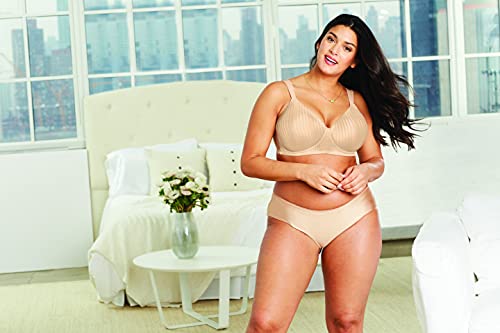 PLAYTEX Womens Perfectly Smooth Full-coverage Wireless T-shirt For Full Figures Bras, Black Stripe, 38C US