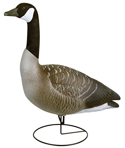 Flambeau Outdoors 8990FBU Storm Front 2 Canada Goose Decoys, Full Body Flocked Heads - 6-Pack