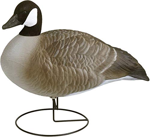 Flambeau Outdoors 8990FBU Storm Front 2 Canada Goose Decoys, Full Body Flocked Heads - 6-Pack