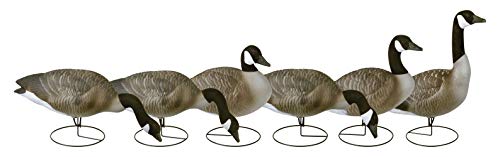 Flambeau Outdoors 8990FBU Storm Front 2 Canada Goose Decoys, Full Body Flocked Heads - 6-Pack