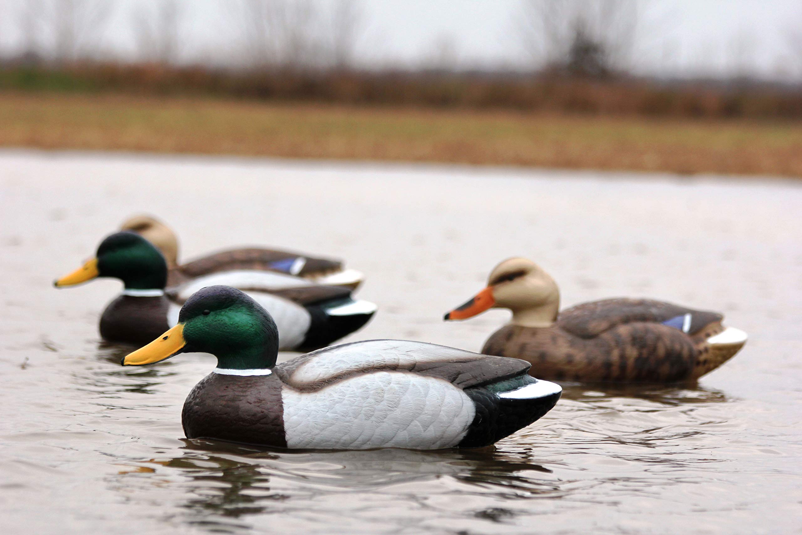 Flambeau Outdoors 5900MSU Masters Series Mallard Decoys, 26" Extreme Floaters - 3-Pack
