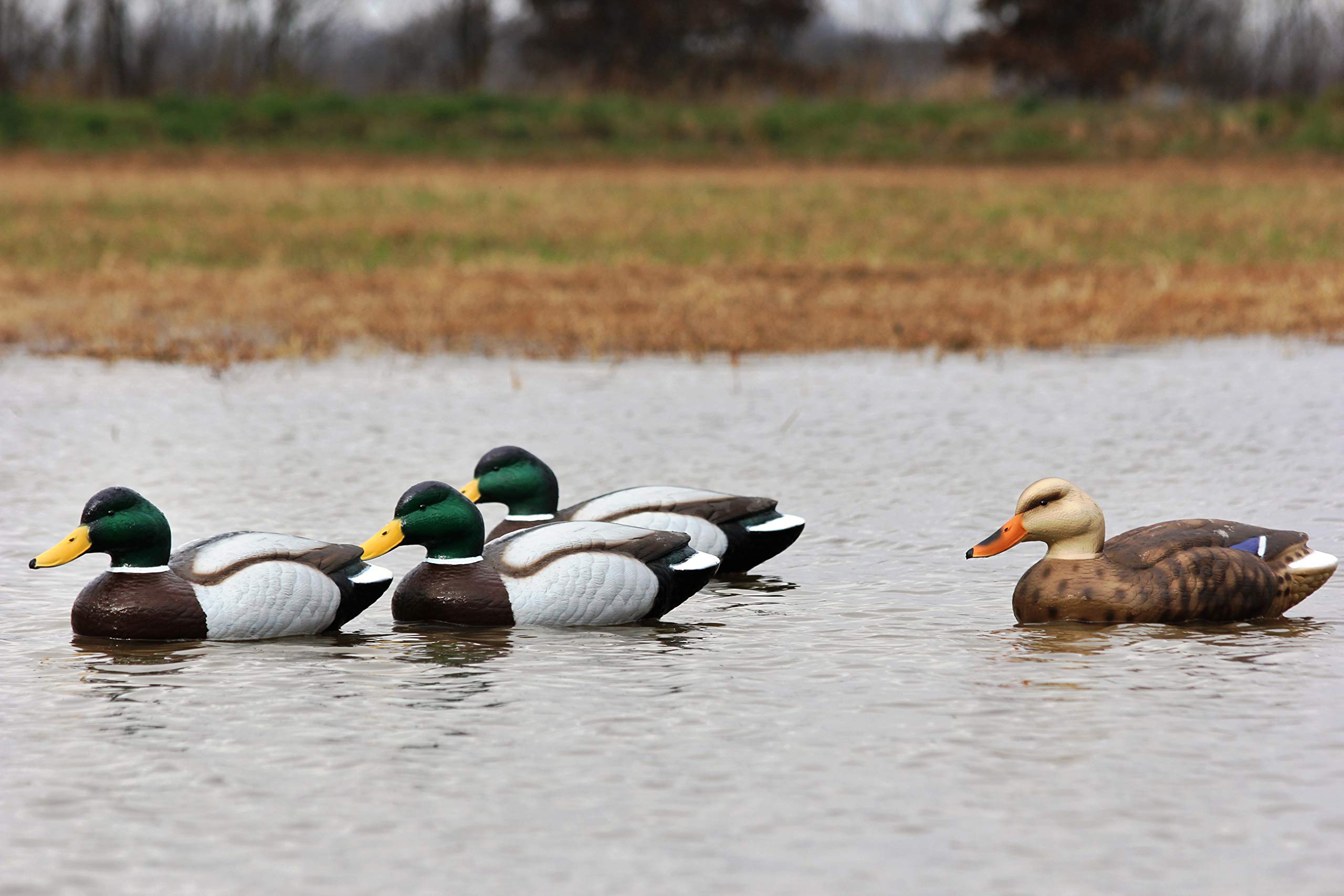 Flambeau Outdoors 5900MSU Masters Series Mallard Decoys, 26" Extreme Floaters - 3-Pack