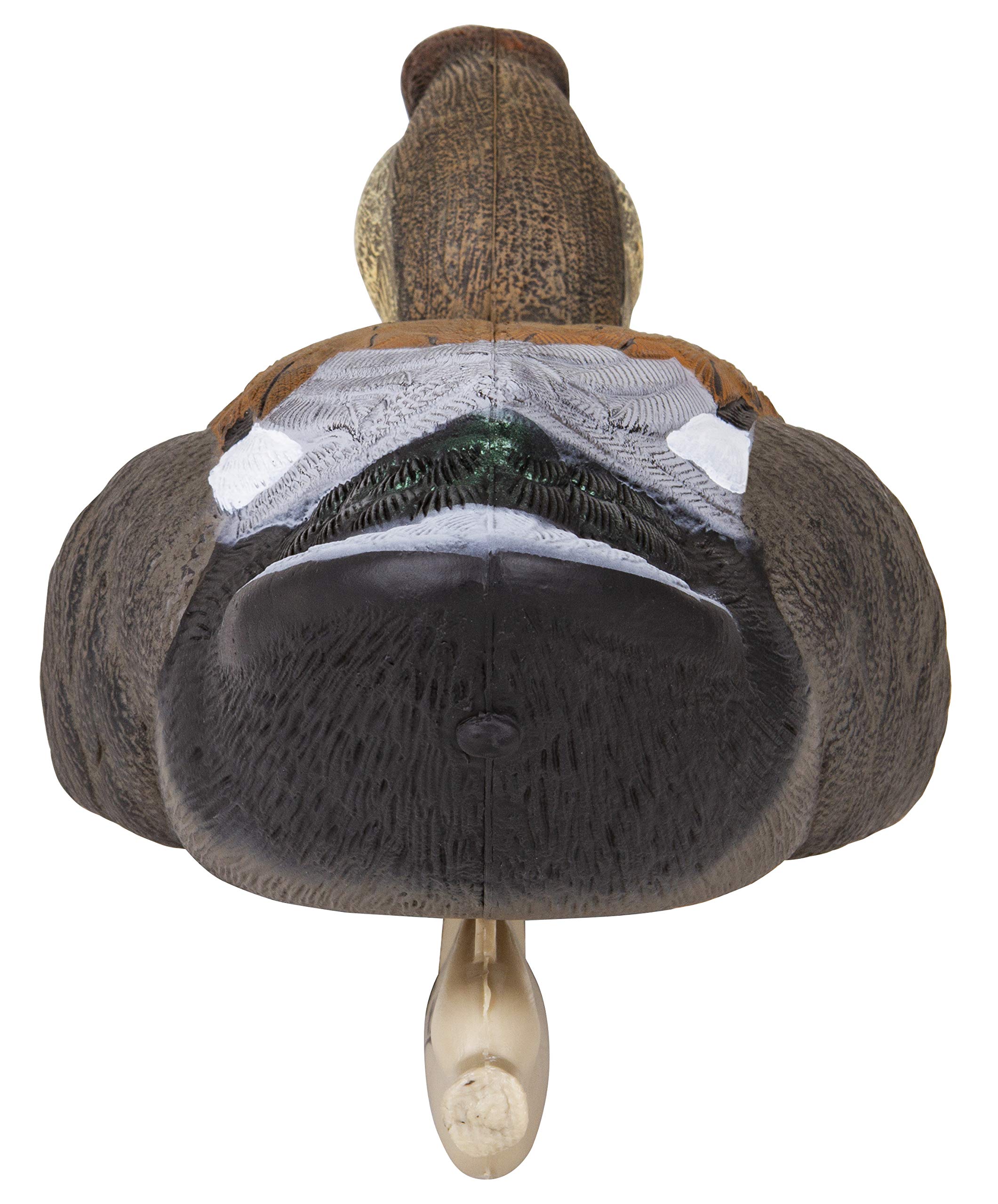 Flambeau Outdoors 5632MSU Masters Series - Gadwall - Floaters - 6-PK, Multi