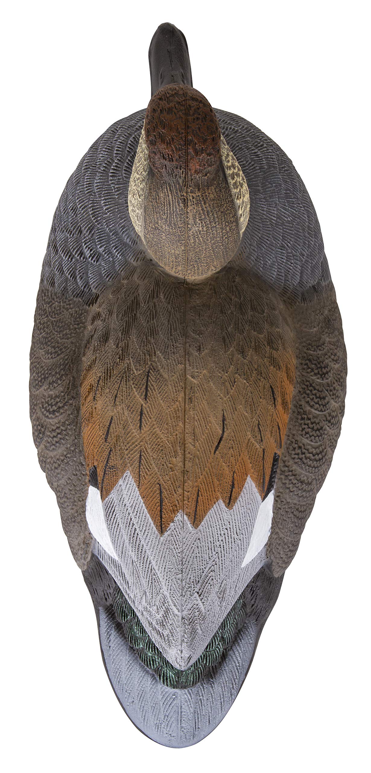 Flambeau Outdoors 5632MSU Masters Series - Gadwall - Floaters - 6-PK, Multi