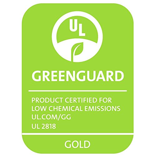 Dream On Me 3ββ Ultra-Lite Playmat/Reinforced Waterproof Cover/Proudly Made in The USA/Greenguard Gold Environment Safe Playmat