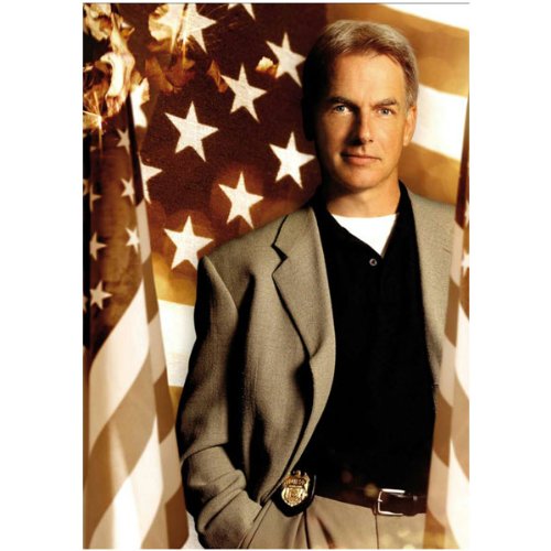 Mark Harmon 8x10 Photo NCIS Chicago Hope flag in background