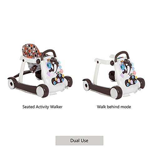 Dream On Me Splash Walker and Activity Center, Mocha