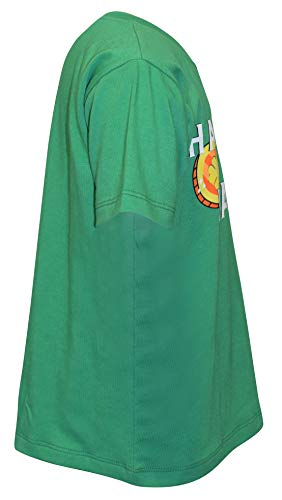 Unique Baby Boys Handsome Little Lad St Patrick's Day T-Shirt (3t, Little Lad)