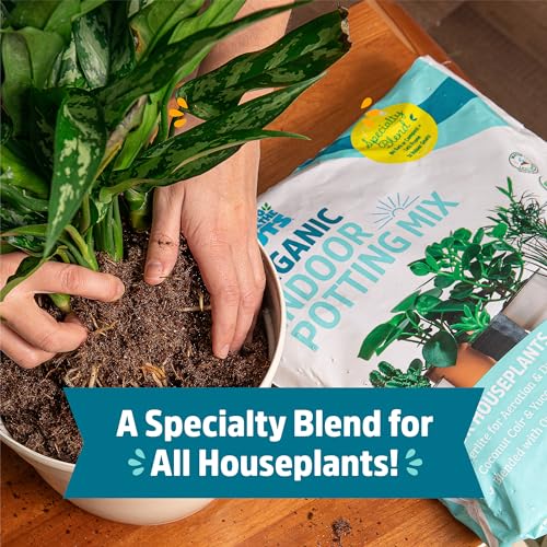 Back to the Roots 100% Organic Indoor Potting Mix (6 Quart), Promotes Healthy Houseplant Growth, Made in The USA