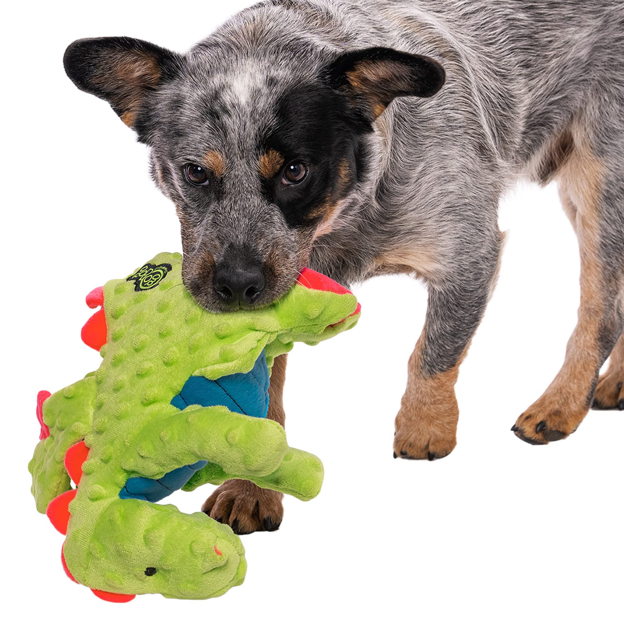 goDog Bubble Plush Dragons Squeaky Dog Toy, Chew Guard Technology - Green, Large
