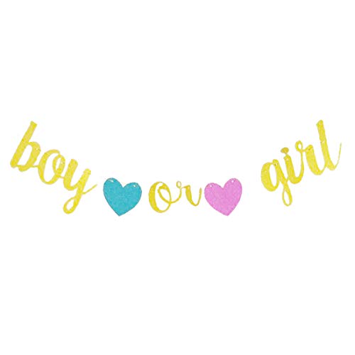 Morndew Glitter Boy or Girl Banner for Baby£§s First Birthday Party Gender Reveal Party Baby Shower Bunting Decoration