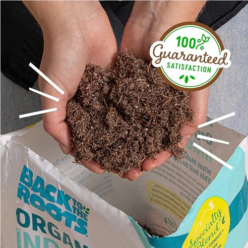 Back to the Roots 100% Organic Indoor Potting Mix (6 Quart), Promotes Healthy Houseplant Growth, Made in The USA