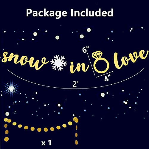 2PCS LaVenty Snow In Love Banner Snow In Love Decorations Winter Bachelorette Party Decorations Engagement Party Decorations