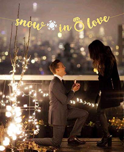 2PCS LaVenty Snow In Love Banner Snow In Love Decorations Winter Bachelorette Party Decorations Engagement Party Decorations