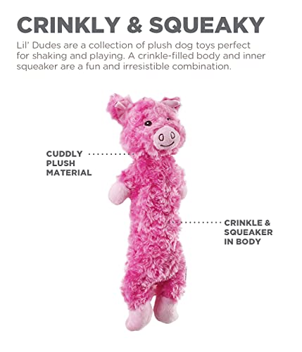 Outward Hound by Charming Pet Lil' Dudes Pig Plush Squeaky Dog Toy