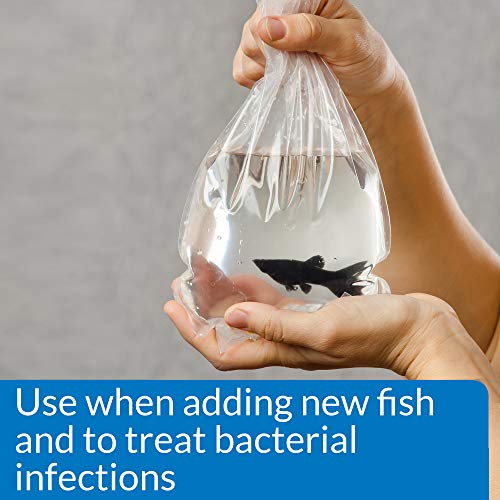 API MELAFIX Freshwater Fish Bacterial Infection Remedy 8-Ounce Bottle