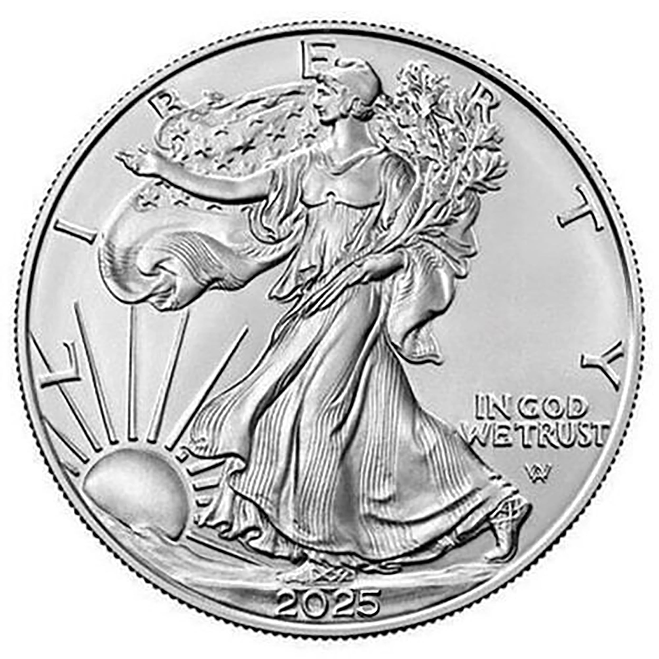 2025 American Silver Eagle .999 Fine Silver in Direct Fit Air Tite with our Smyrnacoin Certificate of Authenticity Dollar Uncirculated US Mint