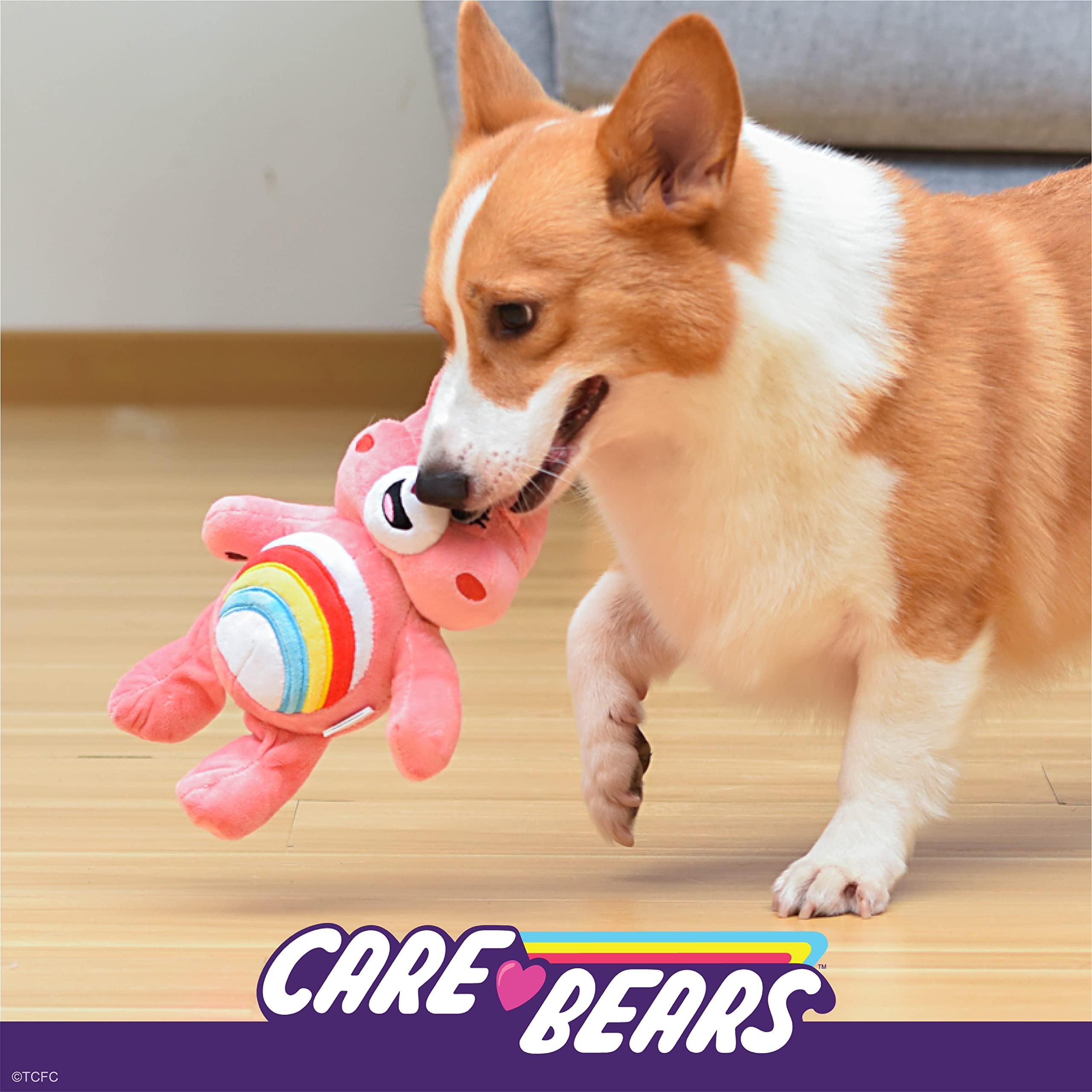 Care Bear for Pets Cheer Bear Dog Plush Squeaky Toy, 6' with Squeaker Inside and Crinkle Ears, Small, Collectible Dog Toys (FF19785)