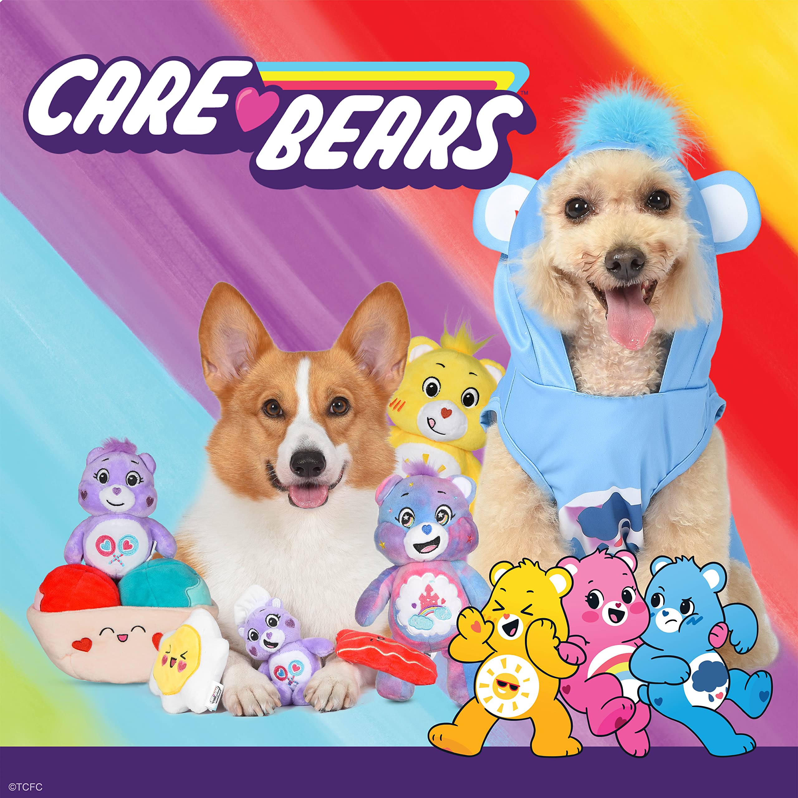 Care Bear for Pets Cheer Bear Dog Plush Squeaky Toy, 6' with Squeaker Inside and Crinkle Ears, Small, Collectible Dog Toys (FF19785)